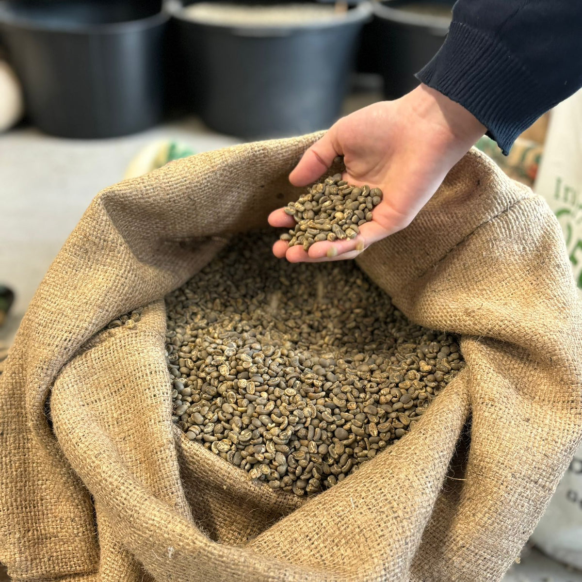 Green Coffee Taster Packs | Unroasted Beans for Home Roasting – Redber ...